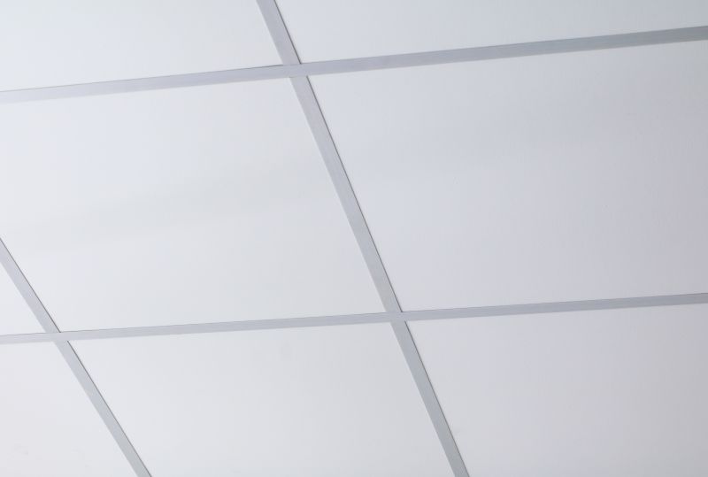 Professional Durable Ceiling Tiles Installation Services Near You